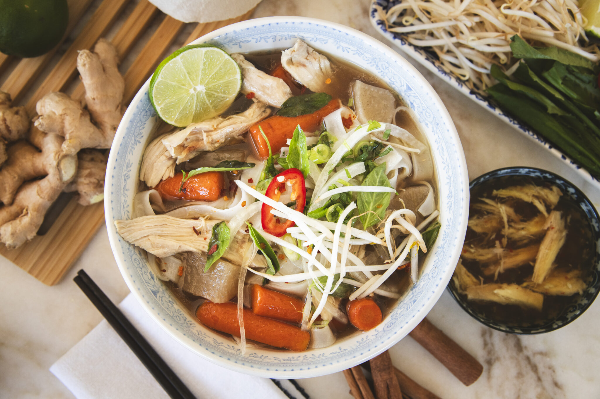 Chicken Pho | Pho Ga - Cindy Lam Cuisine