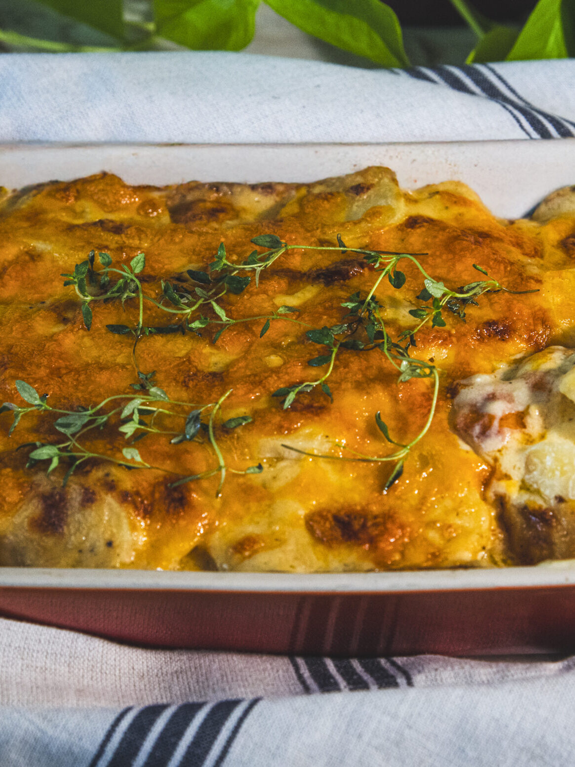 Vietnamese Vegetarian Recipes - Cindy Lam Cuisine